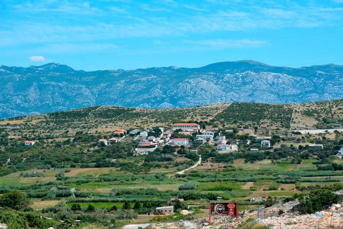 Kolan-Mandre, Insel Pag | Unterkunft | Buchten und Strände