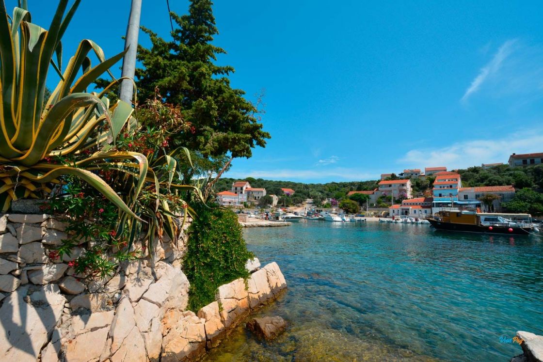 Lun-Tovarnele, Otok Pag | Apartmani | Lunjski maslinici