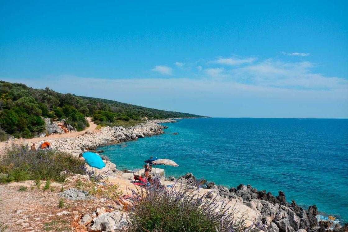 Lun-Tovarnele, Island Pag | Apartments | Olive Grove