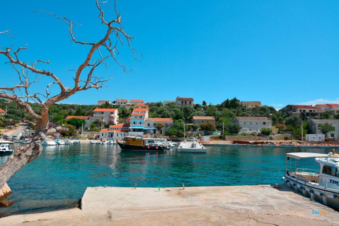 Lun-Tovarnele, Insel Pag | Unterkunft | Olivenhain