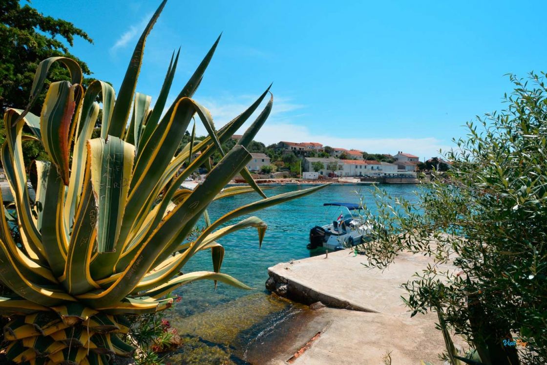 Lun-Tovarnele, Insel Pag | Unterkunft | Olivenhain