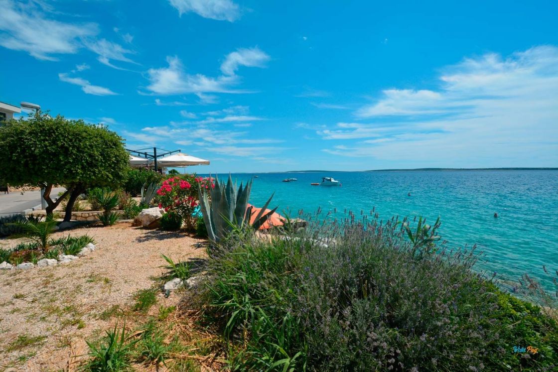 Mandre, Island Pag | Apartments | Bay & Beach